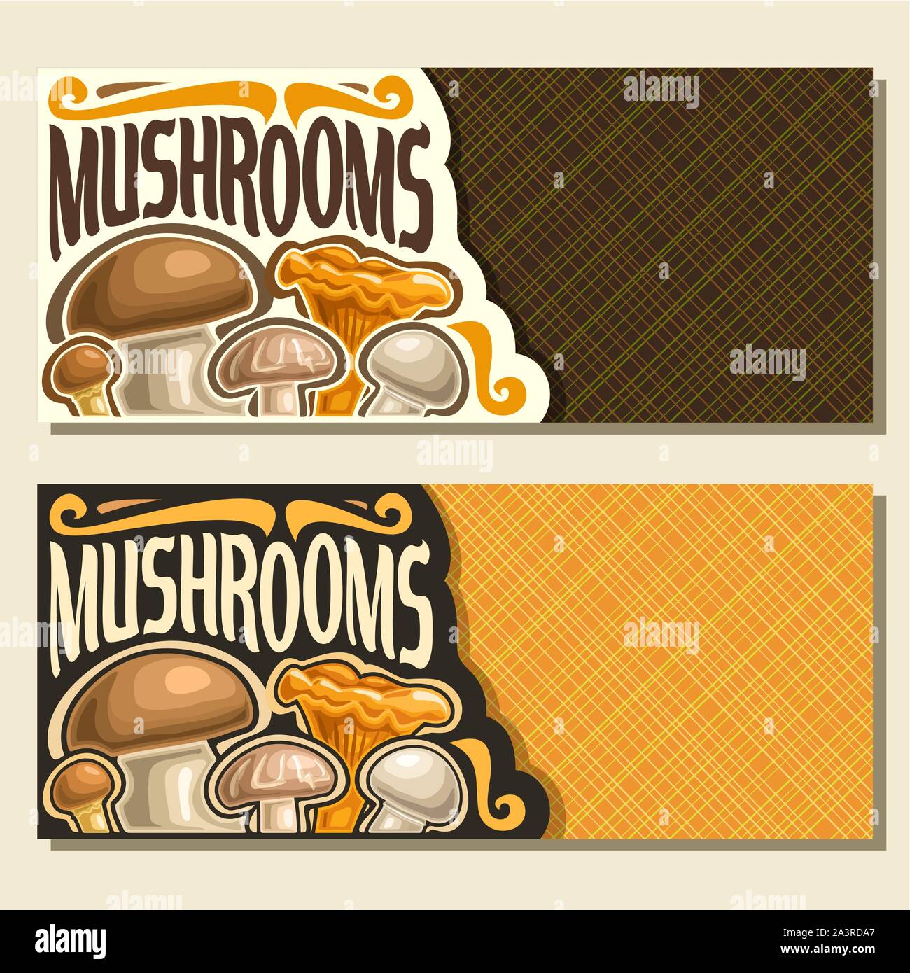 Group edible mushrooms boletus Stock Vector Images - Alamy