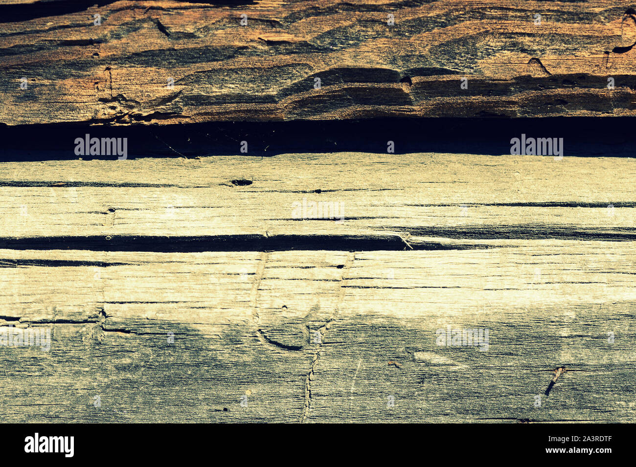 Weathered log close-up lit by sun. Toned wooden background Stock Photo ...