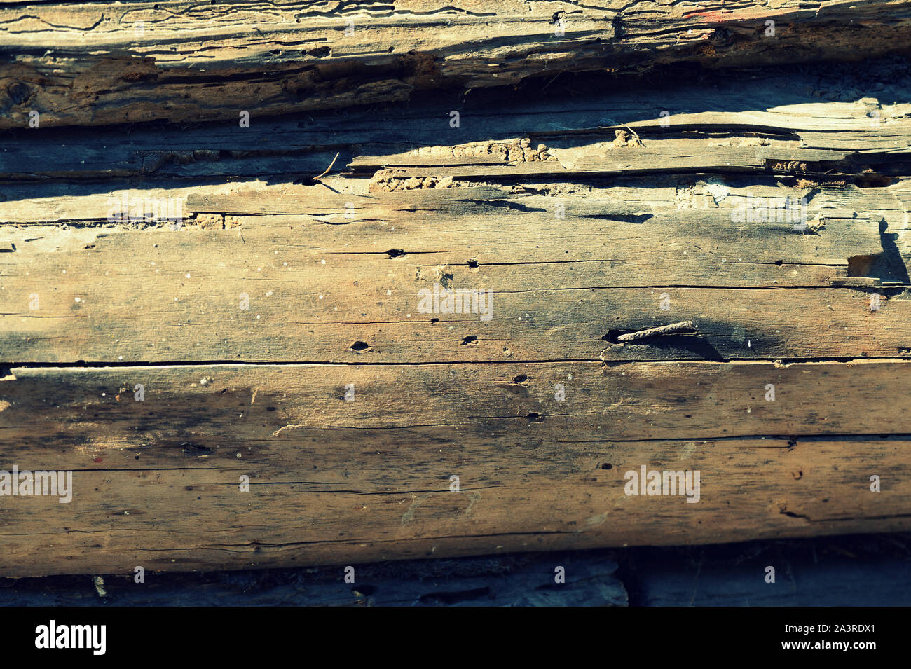 Weathered log close-up lit by sun. Toned wooden background Stock Photo ...