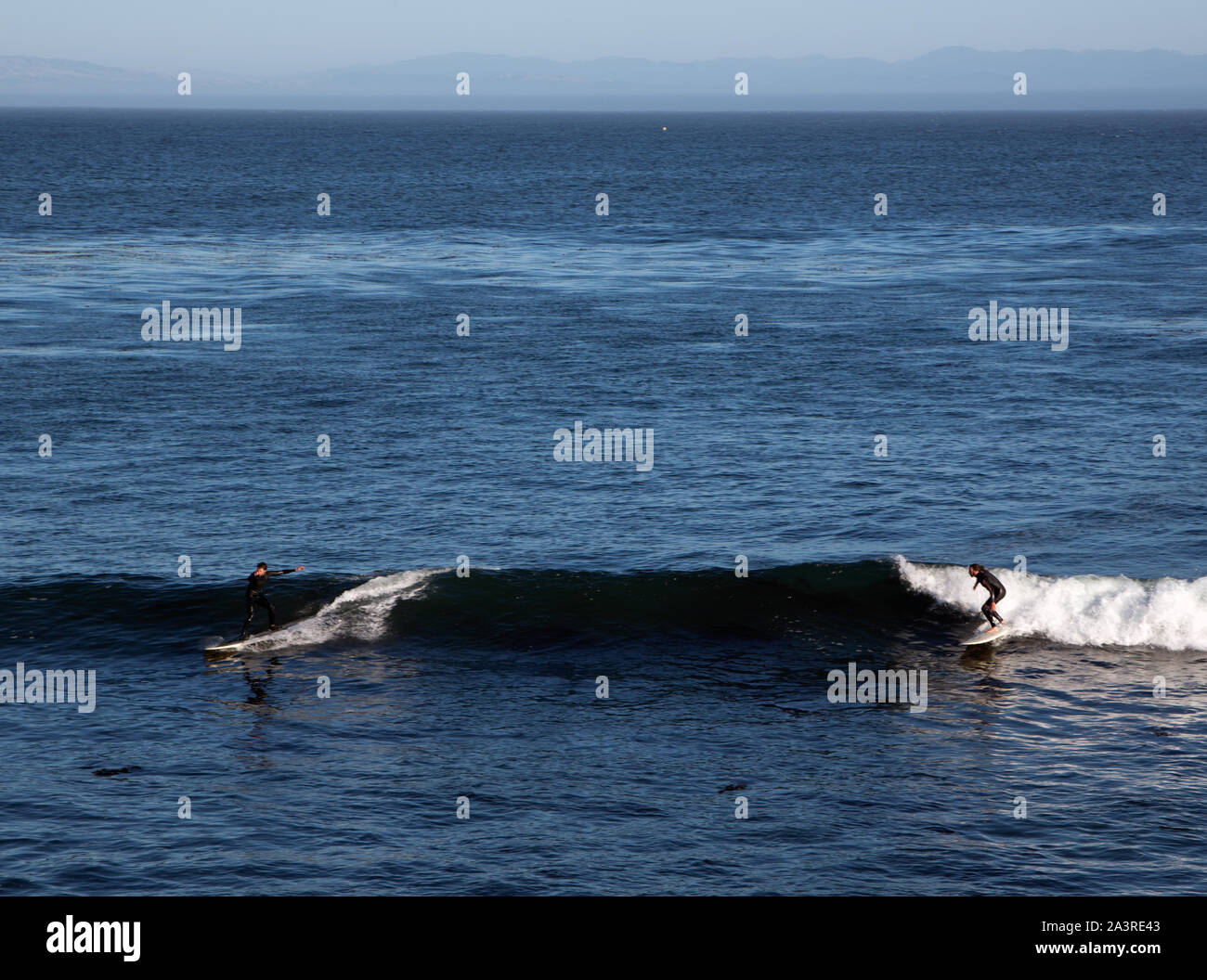 Surfing, Santa Cruz, California Stock Photo - Alamy