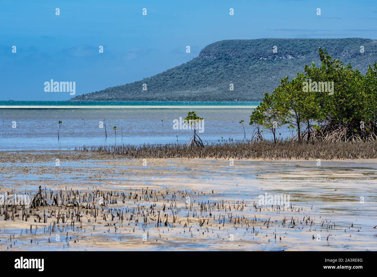 Beach with mangrove and blue sky hi-res stock photography and images ...