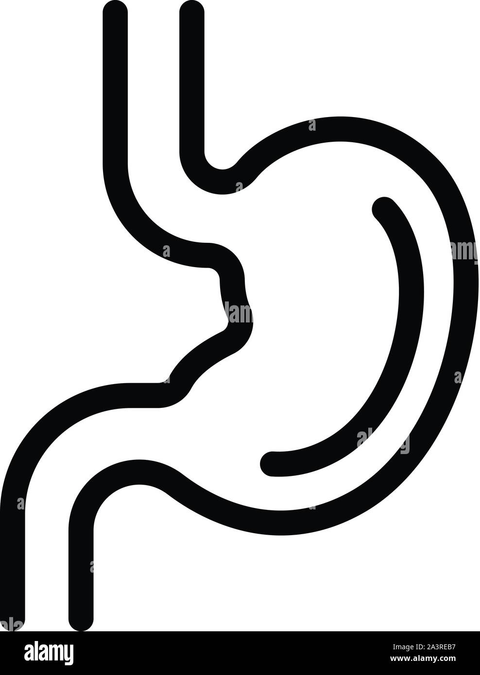 Stomach small large intestine Black and White Stock Photos & Images - Alamy