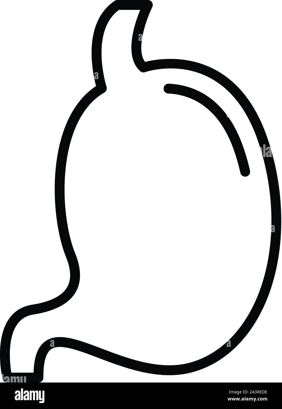 Pylorus Black and White Stock Photos & Images - Alamy