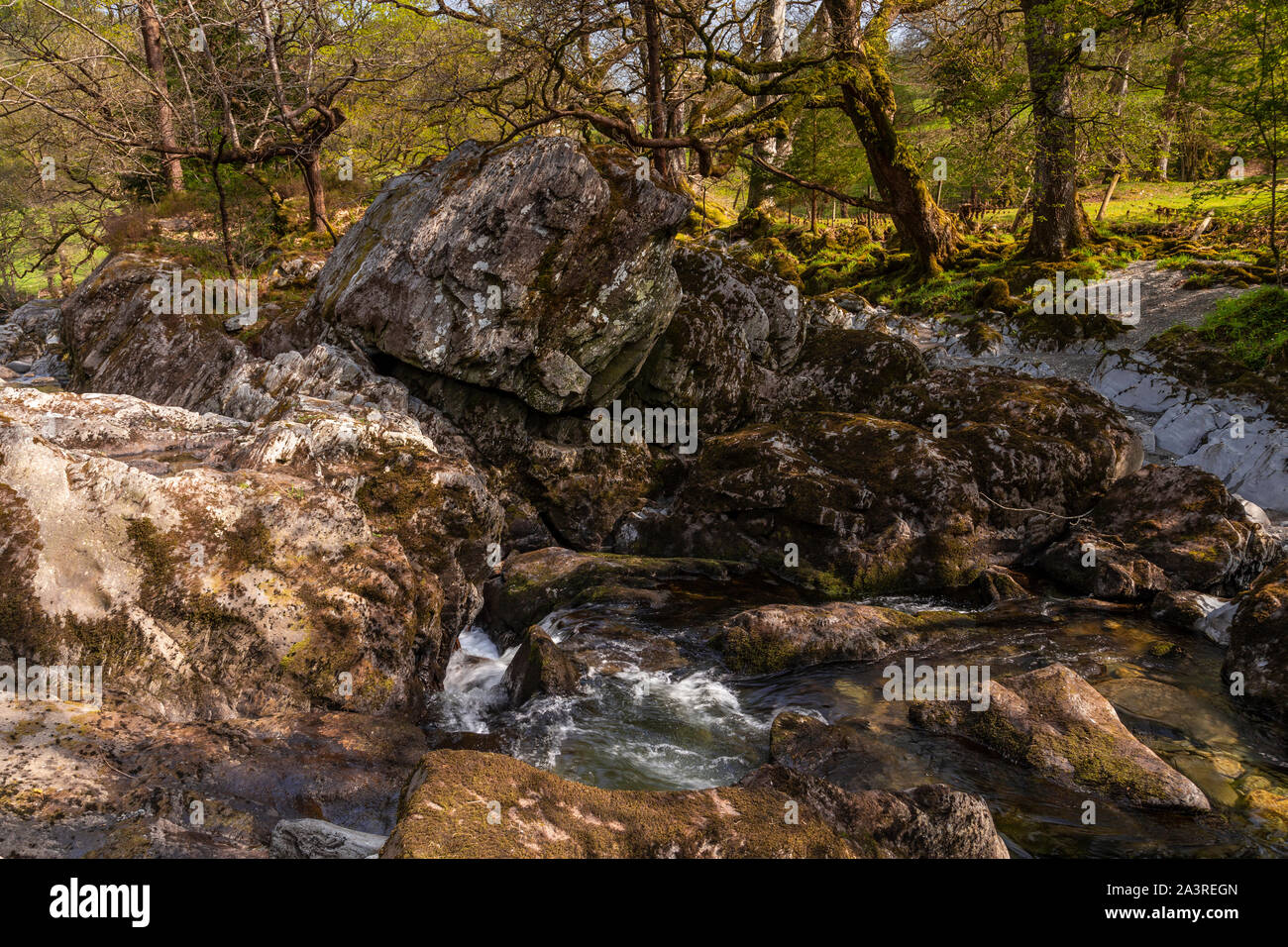 The Afon Lledr river near Betws-y-Coed, Snowdonia, North Wales Stock ...