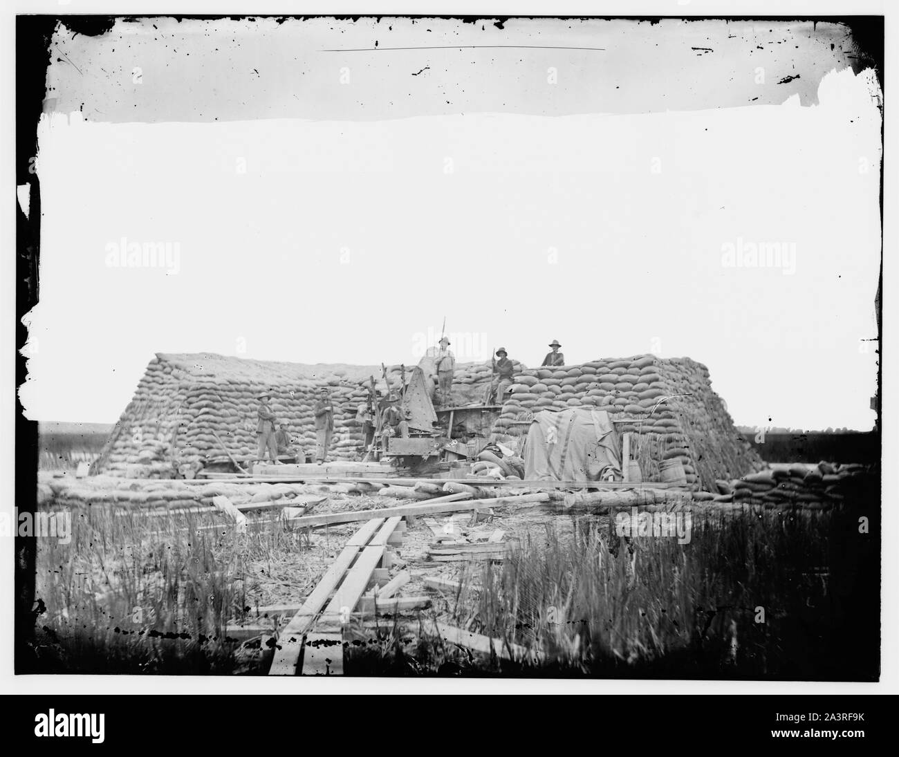 Swamp angel charleston hi-res stock photography and images - Alamy