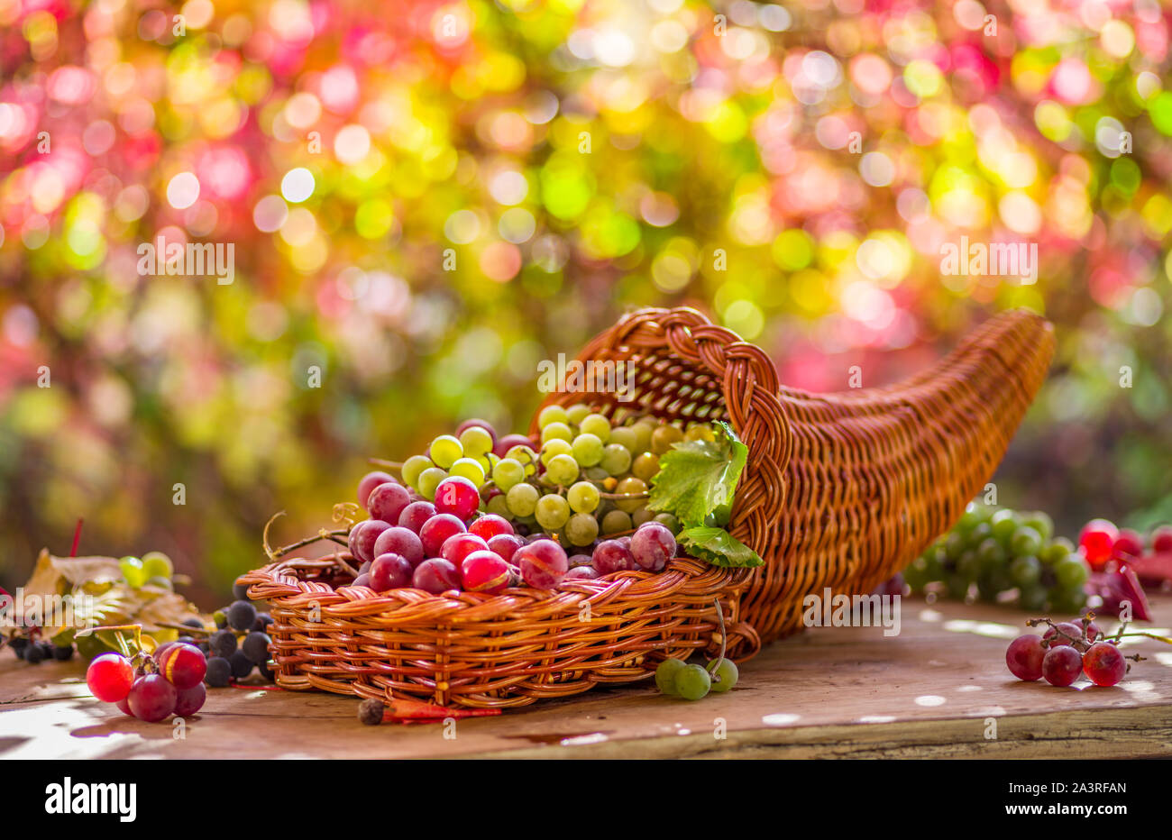 Grape varieties hi-res stock photography and images - Alamy