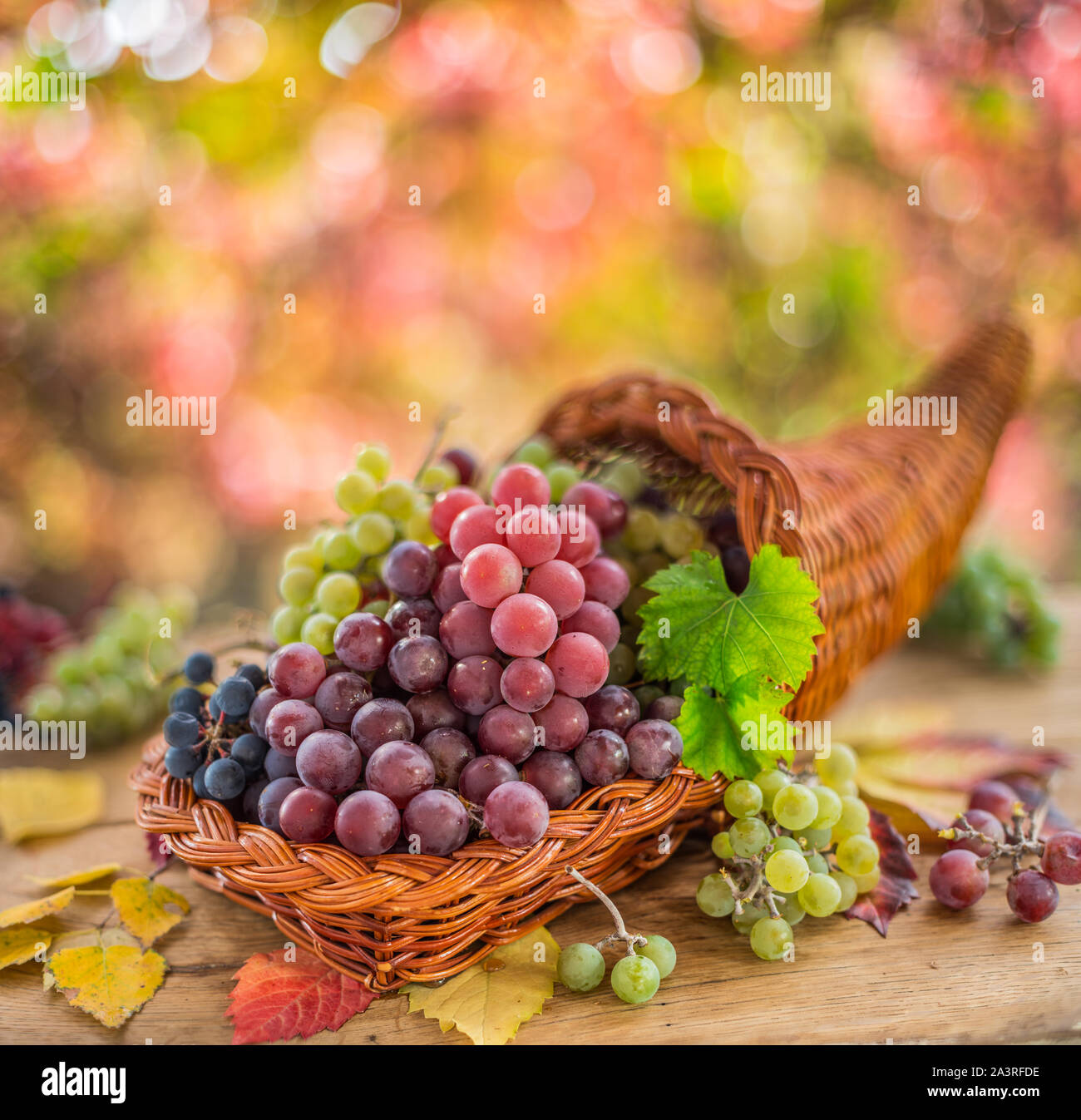 Grape varieties hi-res stock photography and images - Alamy