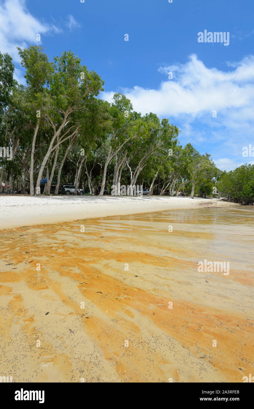 Camping at Elim Beach with its red sand, Far North Queensland, FNQ, QLD ...