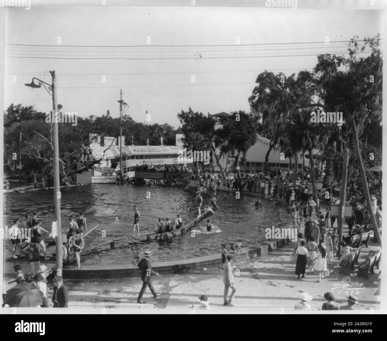 Swimming pool at) Sulphur Springs, Tampa, Fla Stock Photo - Alamy