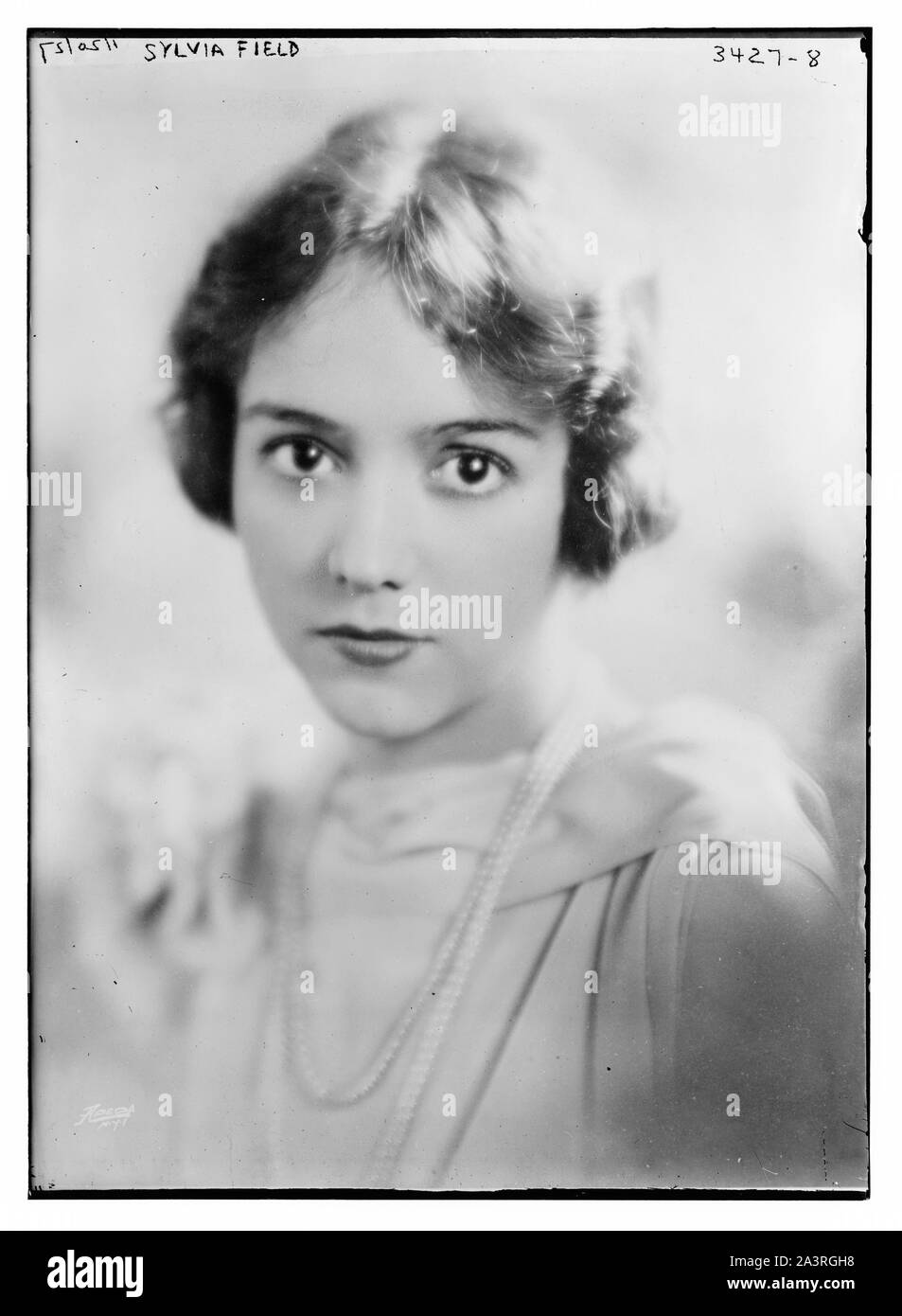 Sylvia field hi-res stock photography and images - Alamy