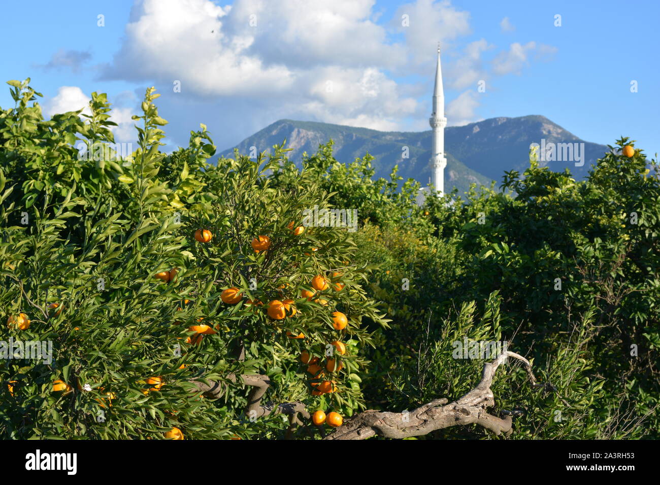 The natural landscape of Oba, Alanya in Turkey with its beautiful ...
