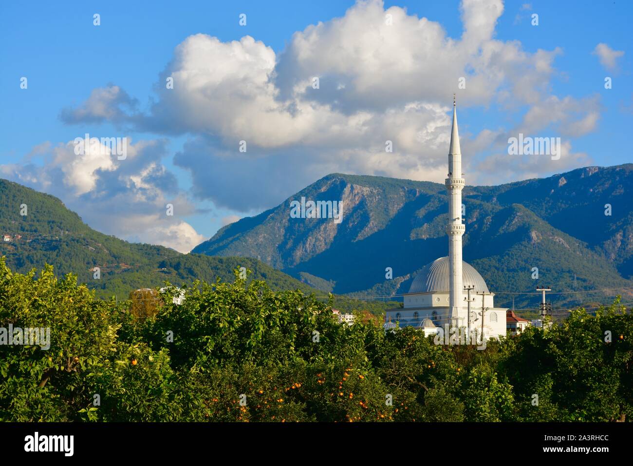 The natural landscape of Oba, Alanya in Turkey with its beautiful ...