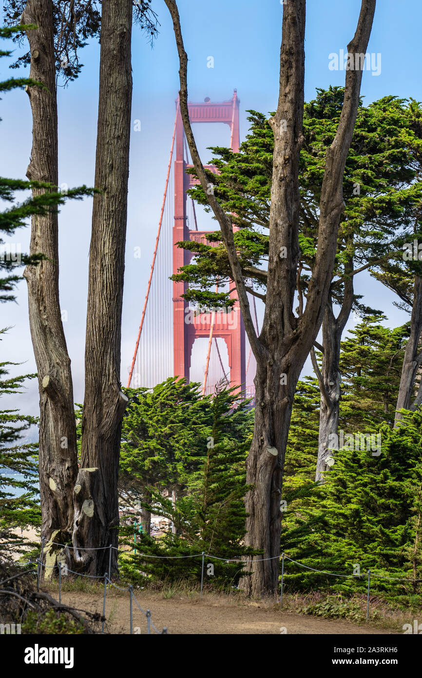 Golden gate bridge framed by trees hi-res stock photography and images ...