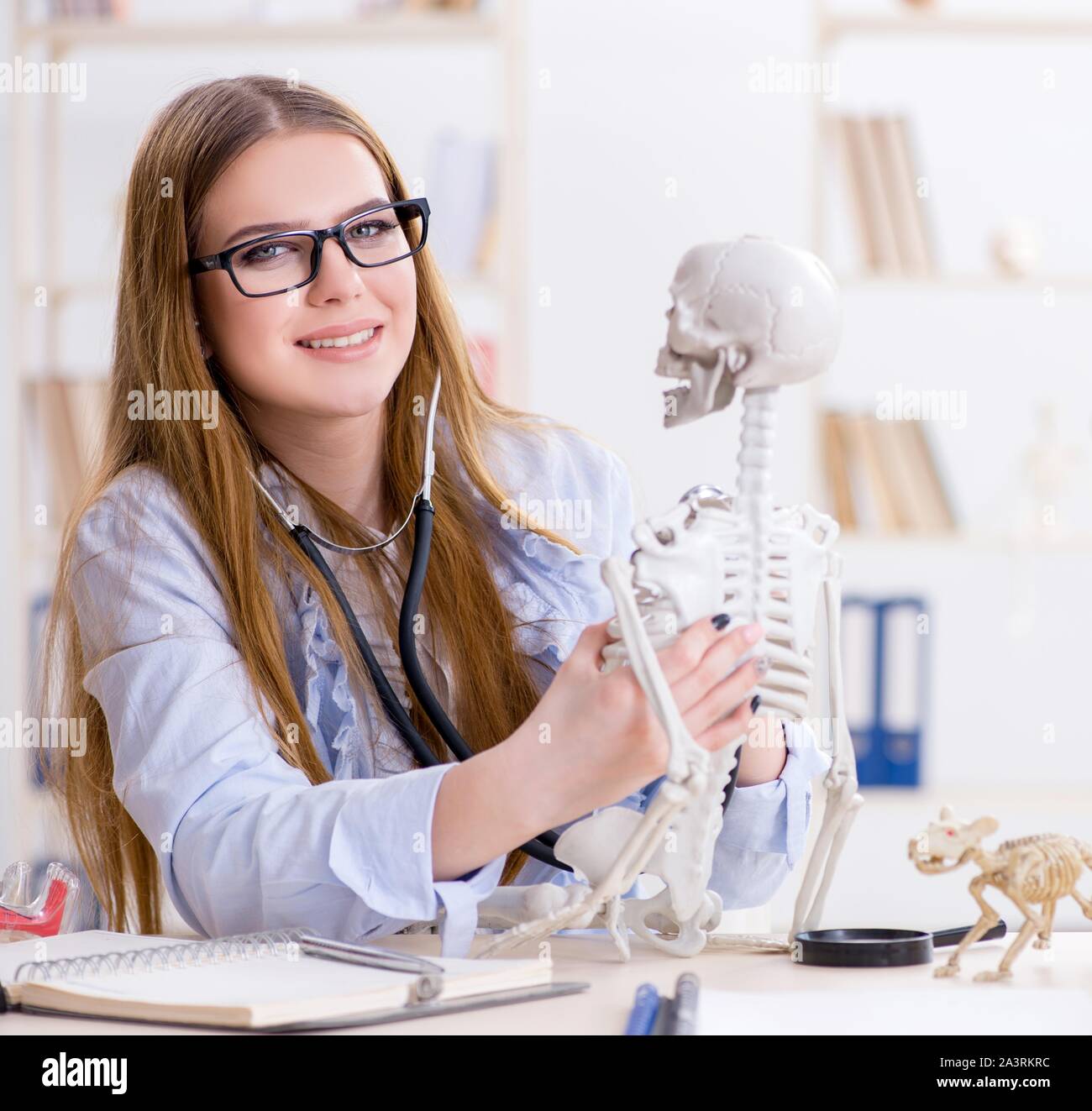 The student sitting in classroom and studying skeleton Stock Photo - Alamy