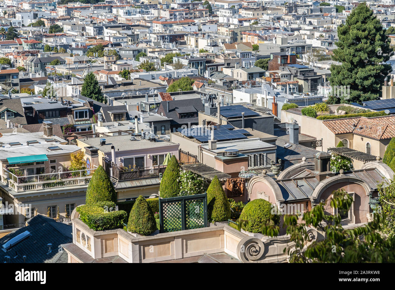 View of San Francisco from Lion steps Stock Photo - Alamy