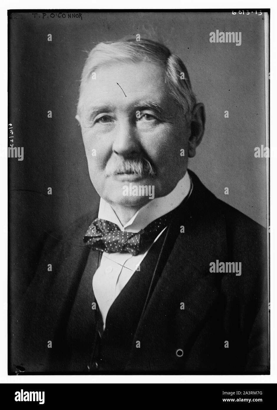 Member of p Cut Out Stock Images & Pictures - Alamy