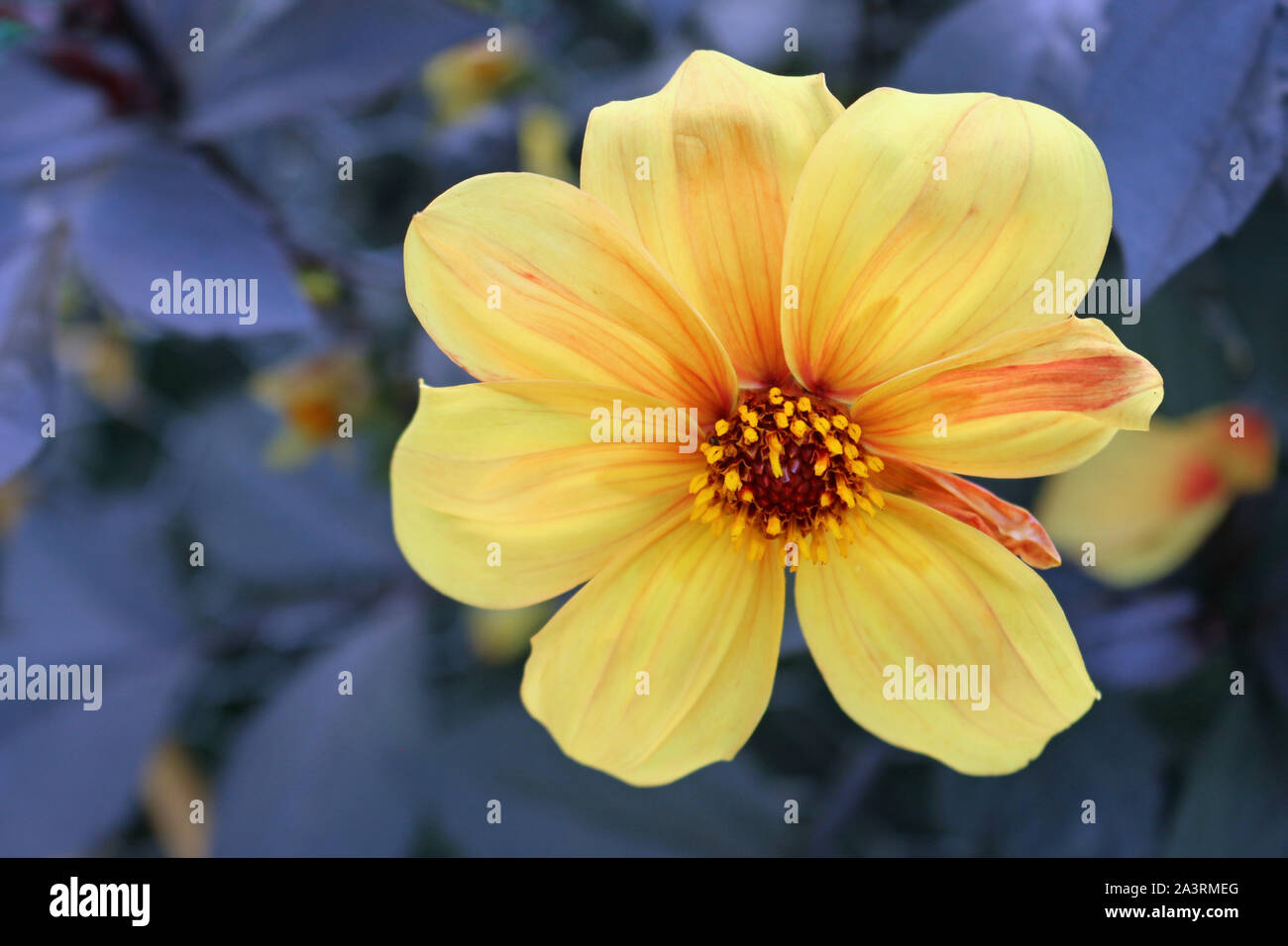 Hadrians sunlight hi-res stock photography and images - Alamy