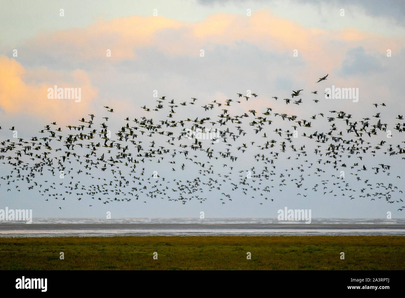 Uk wetland aerial estuary hi-res stock photography and images - Alamy