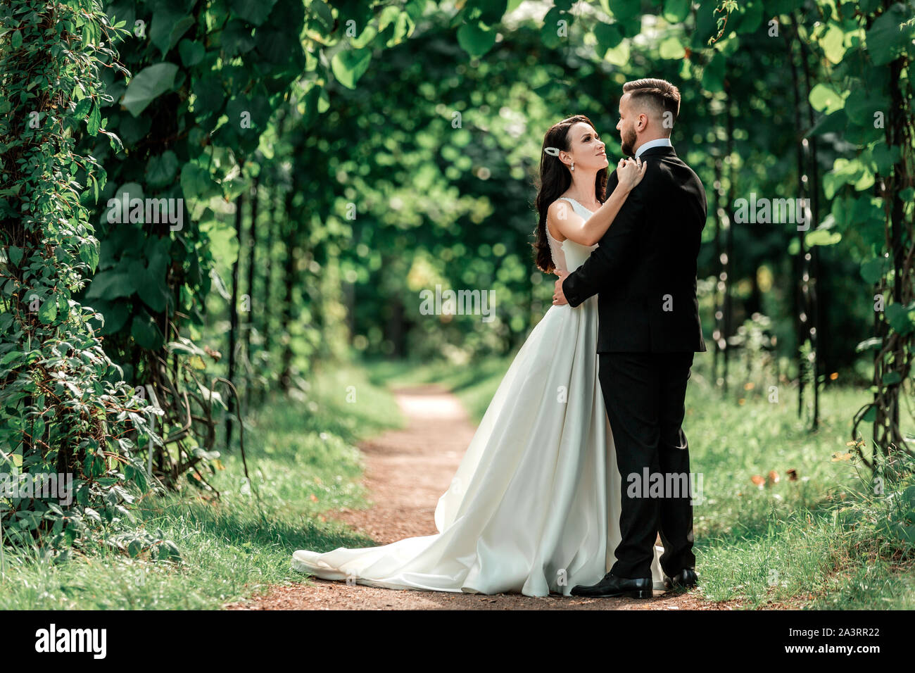 happy bride and groom standing under the wedding arch Stock Photo - Alamy
