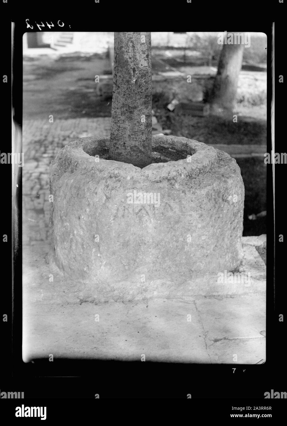 Talent weight hi-res stock photography and images - Alamy