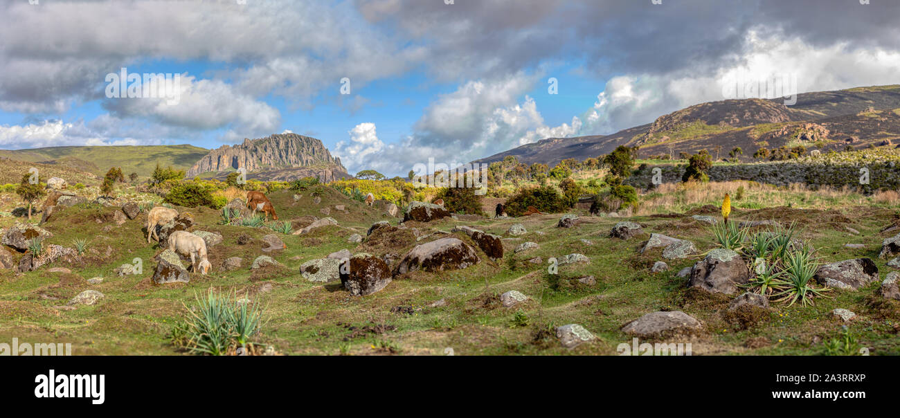beautiful landscape of the Ethiopian Bale Mountains National Park ...