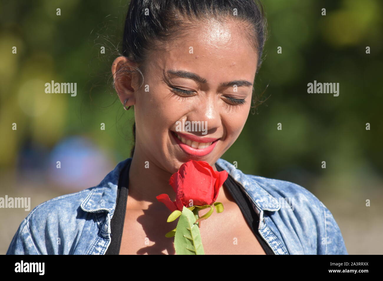 Attractive rose flower hi-res stock photography and images - Alamy