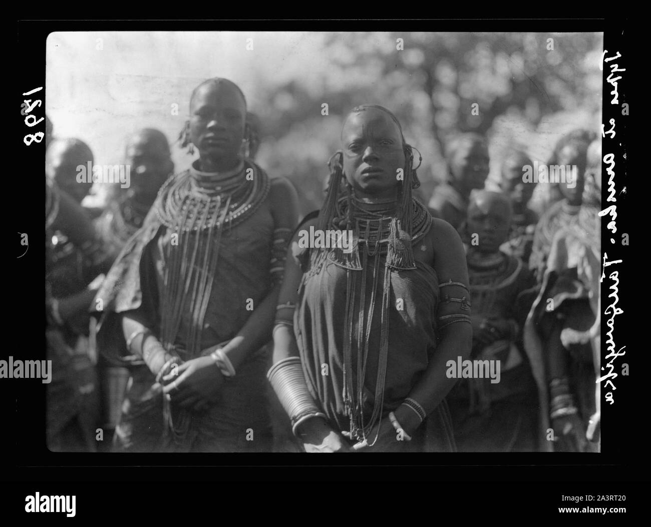Arusha wedding hi-res stock photography and images - Alamy