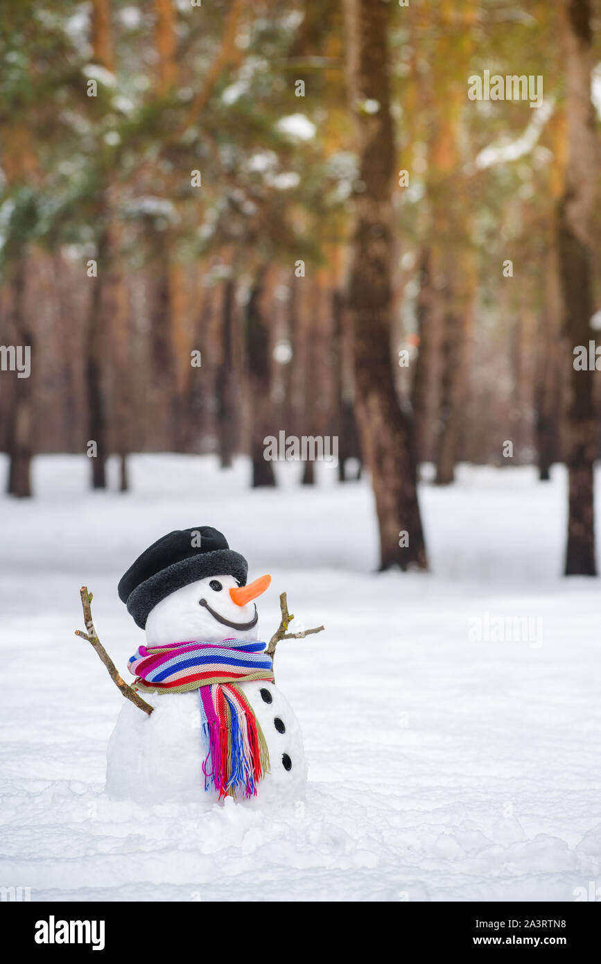 Snowman in a city park near pine trees. Carrot nose, button eyes, twigs ...