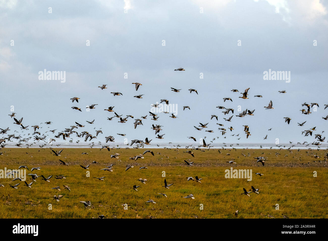 Ribble river uk aerial hi-res stock photography and images - Alamy