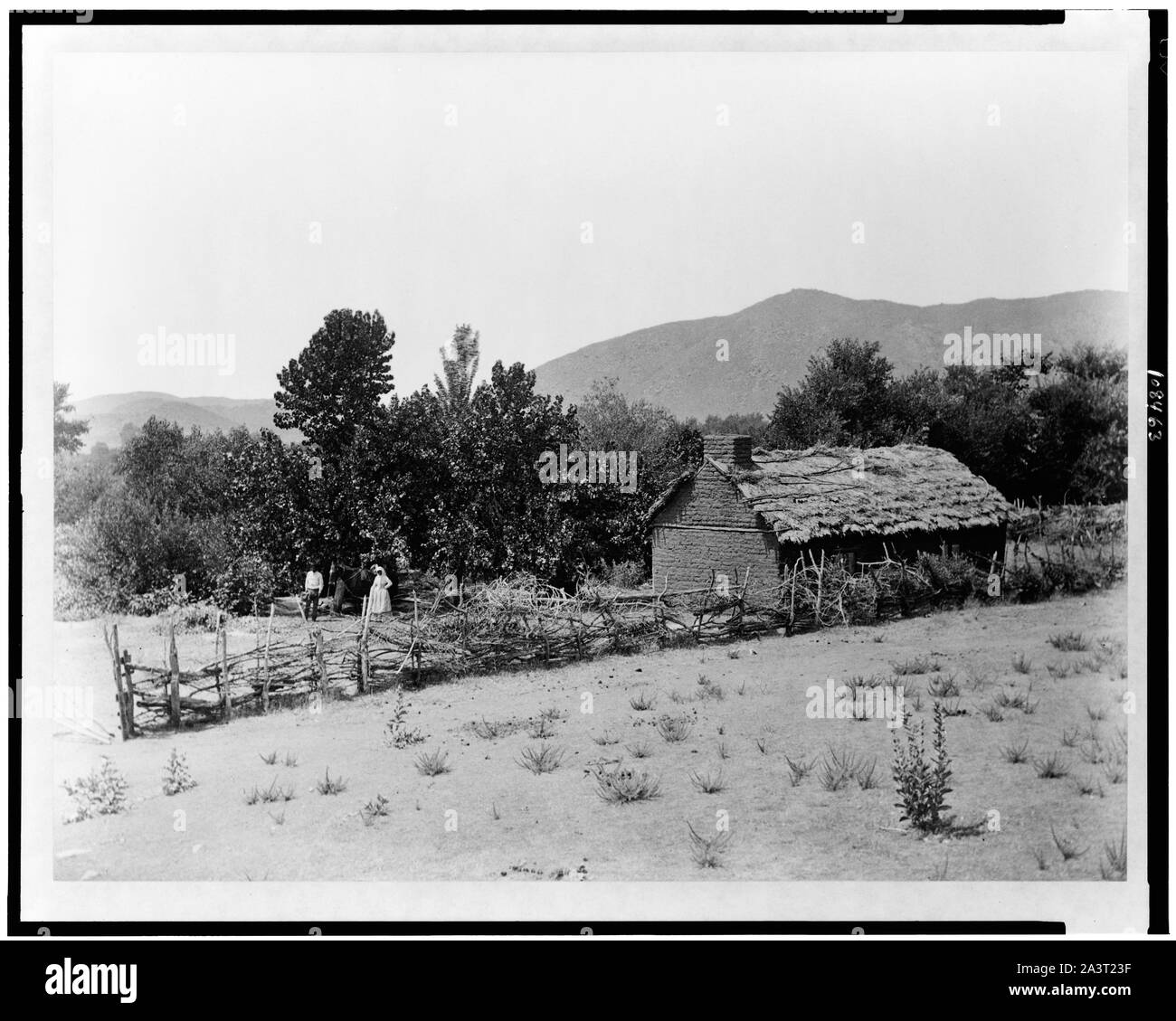 Tejon ranch hi-res stock photography and images - Alamy