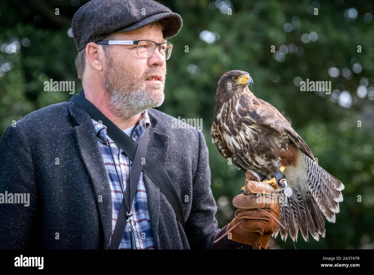 Love hawk hi-res stock photography and images - Alamy