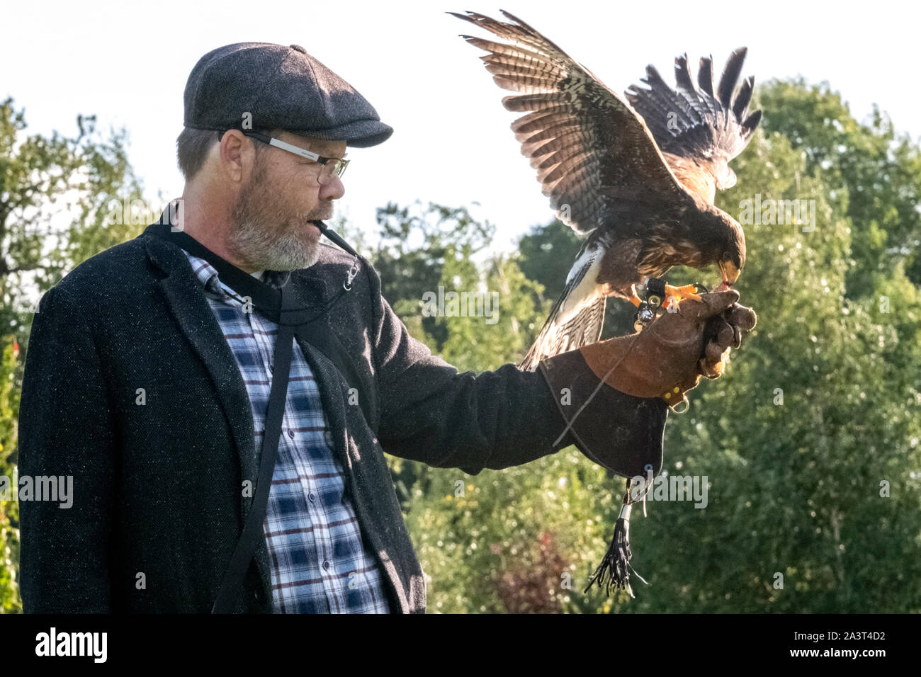 Love hawk hi-res stock photography and images - Alamy
