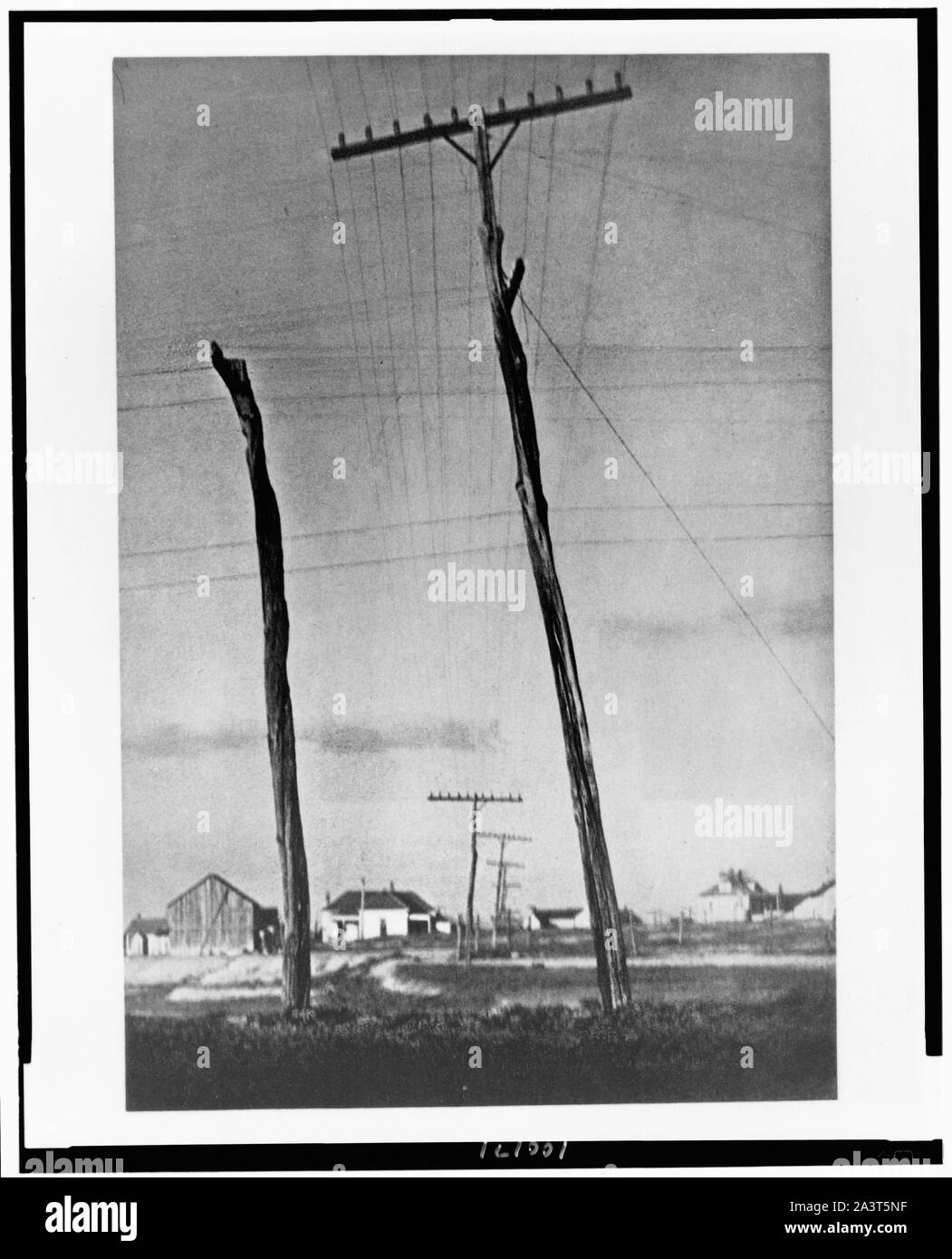 Telegraph wires Black and White Stock Photos & Images - Alamy