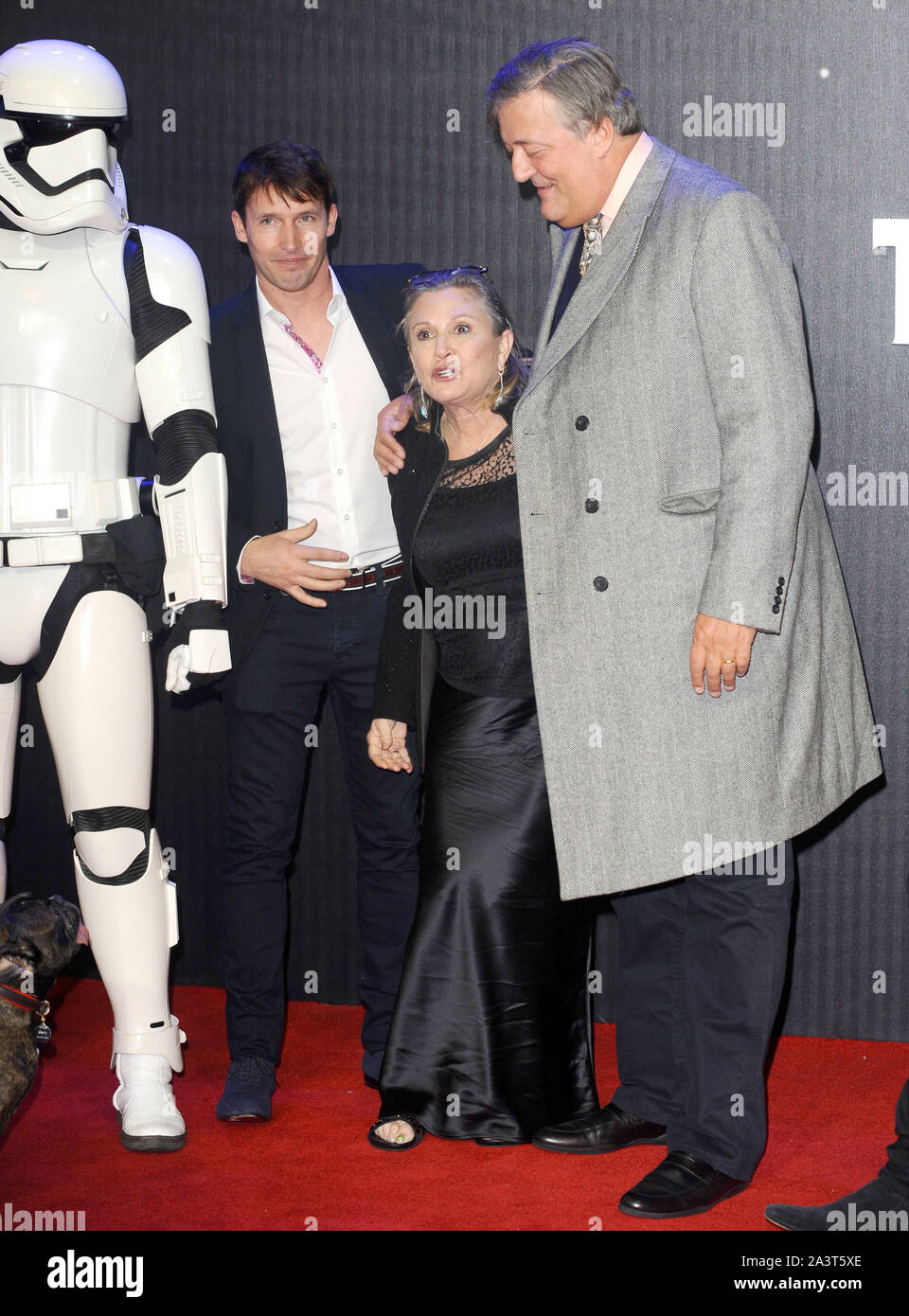 Stephen fry top hi-res stock photography and images - Alamy