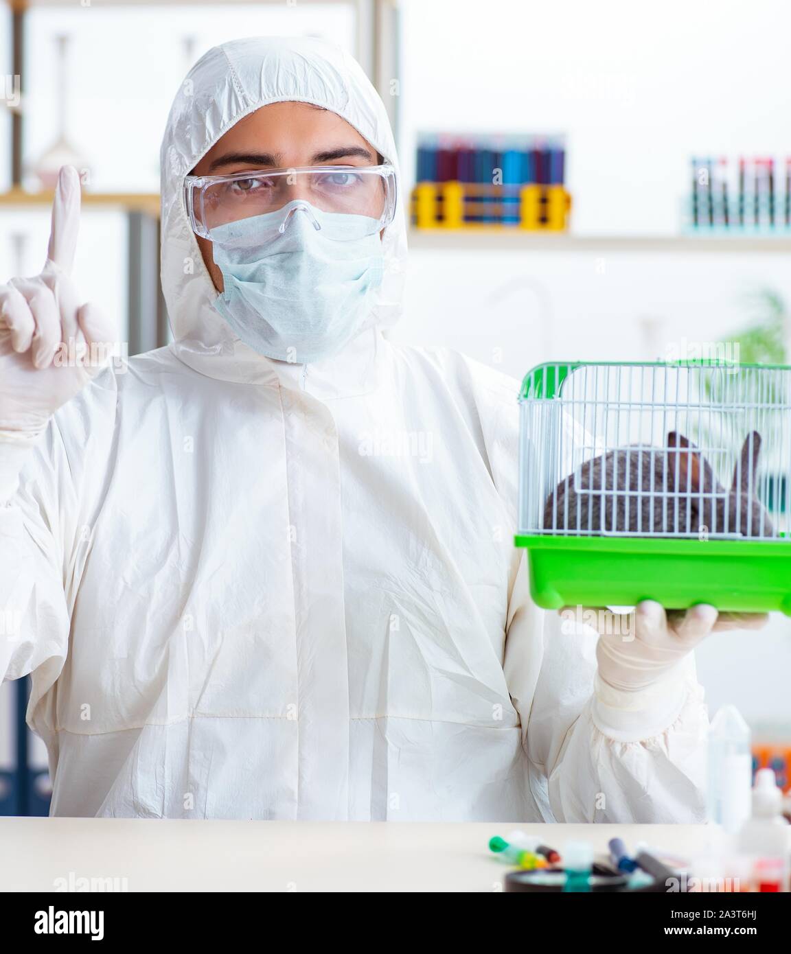 The scientist doing testing on animals rabbit Stock Photo - Alamy