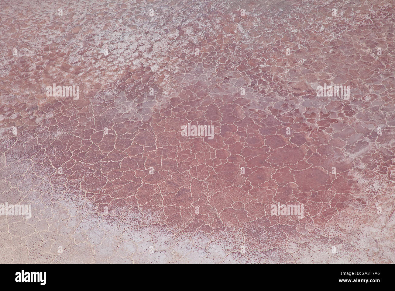 Lago Magadi, Valle del Rift, Kenia, Africa Stock Photo - Alamy