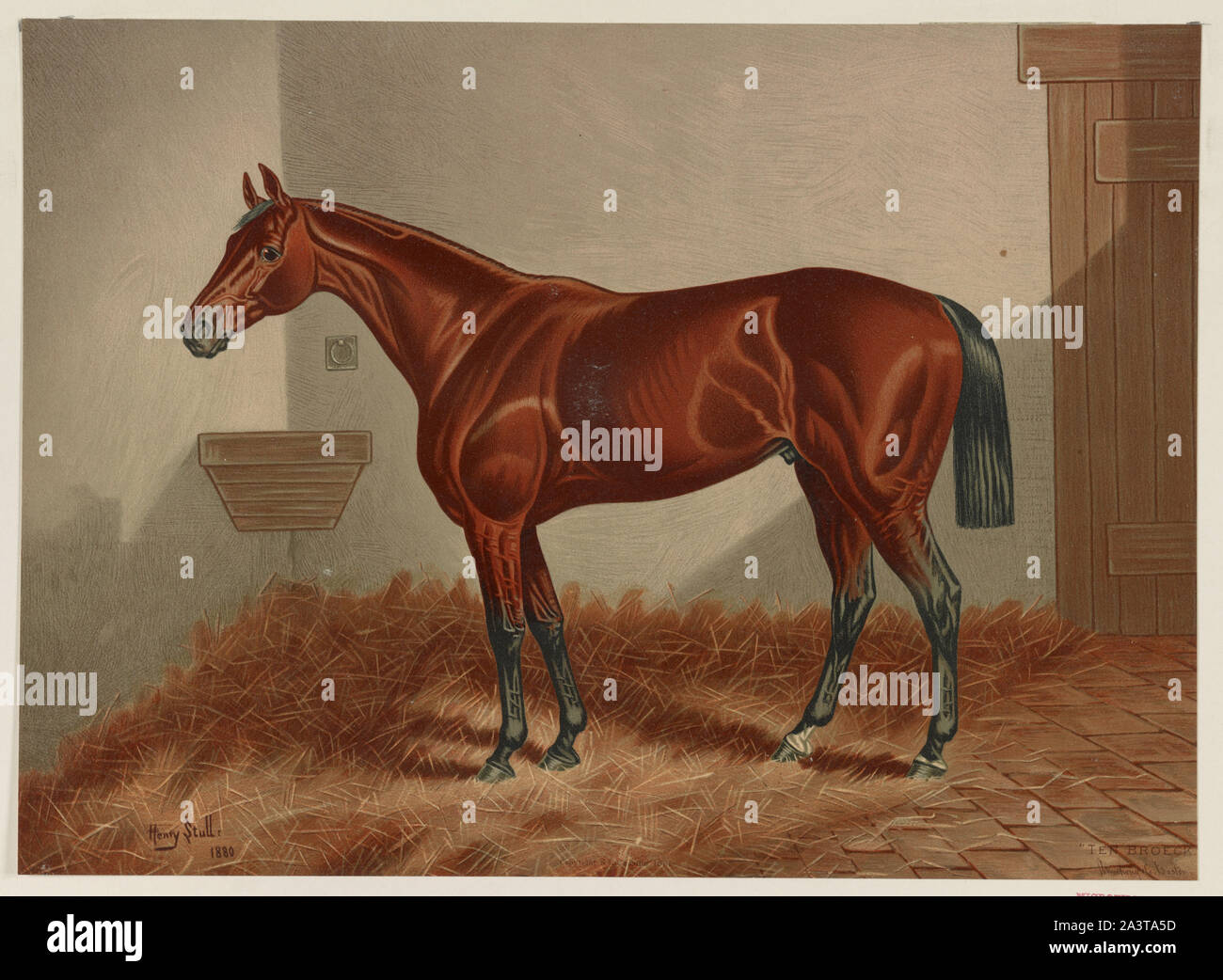 Ten Broeck High Resolution Stock Photography and Images - Alamy