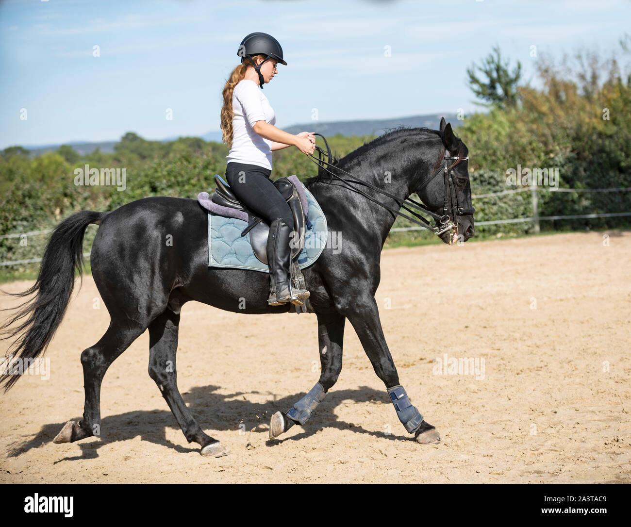 riding girl are training her black horse Stock Photo - Alamy