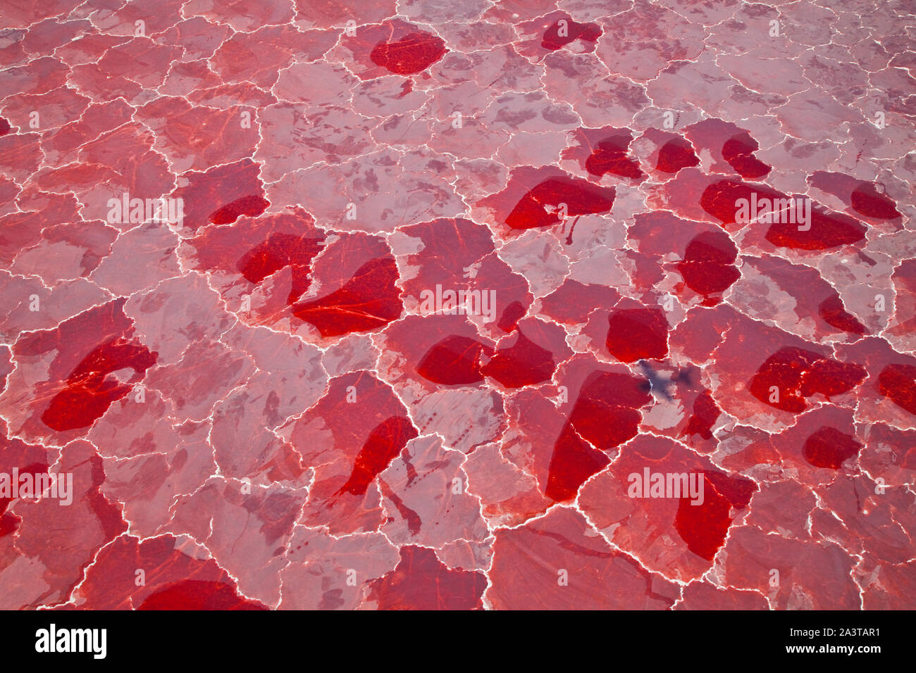 Lago Natron, Valle del Rift, Tanzania, Africa Stock Photo - Alamy