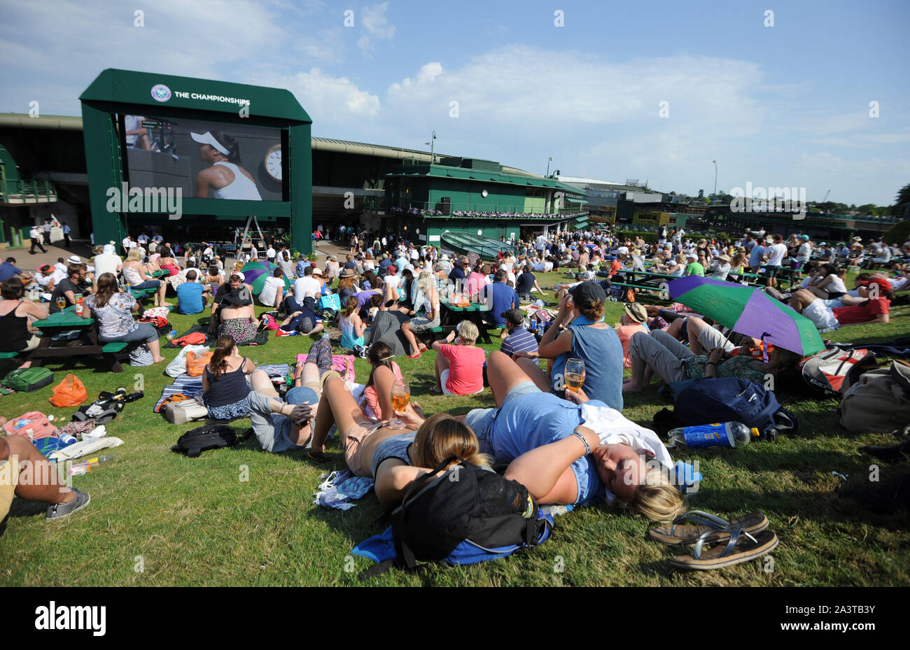 Henman hill green wall hi-res stock photography and images - Alamy