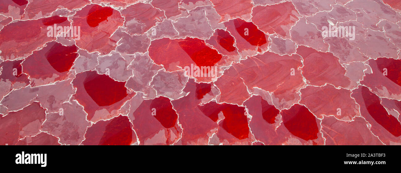 Lago Natron, Valle del Rift, Tanzania, Africa Stock Photo - Alamy