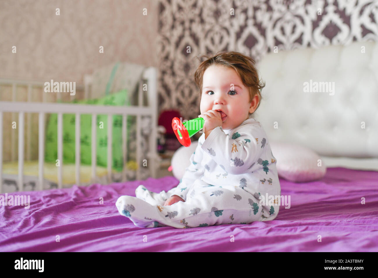 baby nibbles a toy. closeup portrait little cute girl with big blue ...