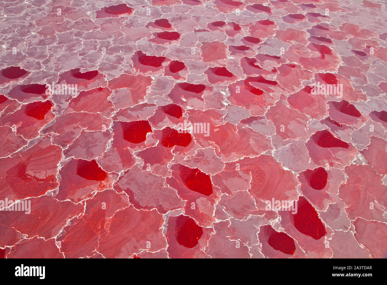 Lago Natron, Valle del Rift, Tanzania, Africa Stock Photo - Alamy