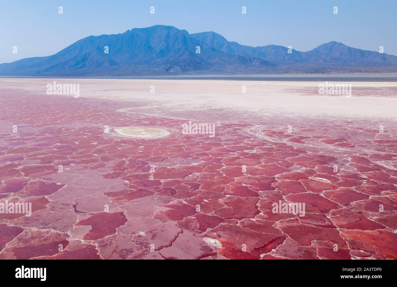 Lago Natron, Valle del Rift, Tanzania, Africa Stock Photo - Alamy