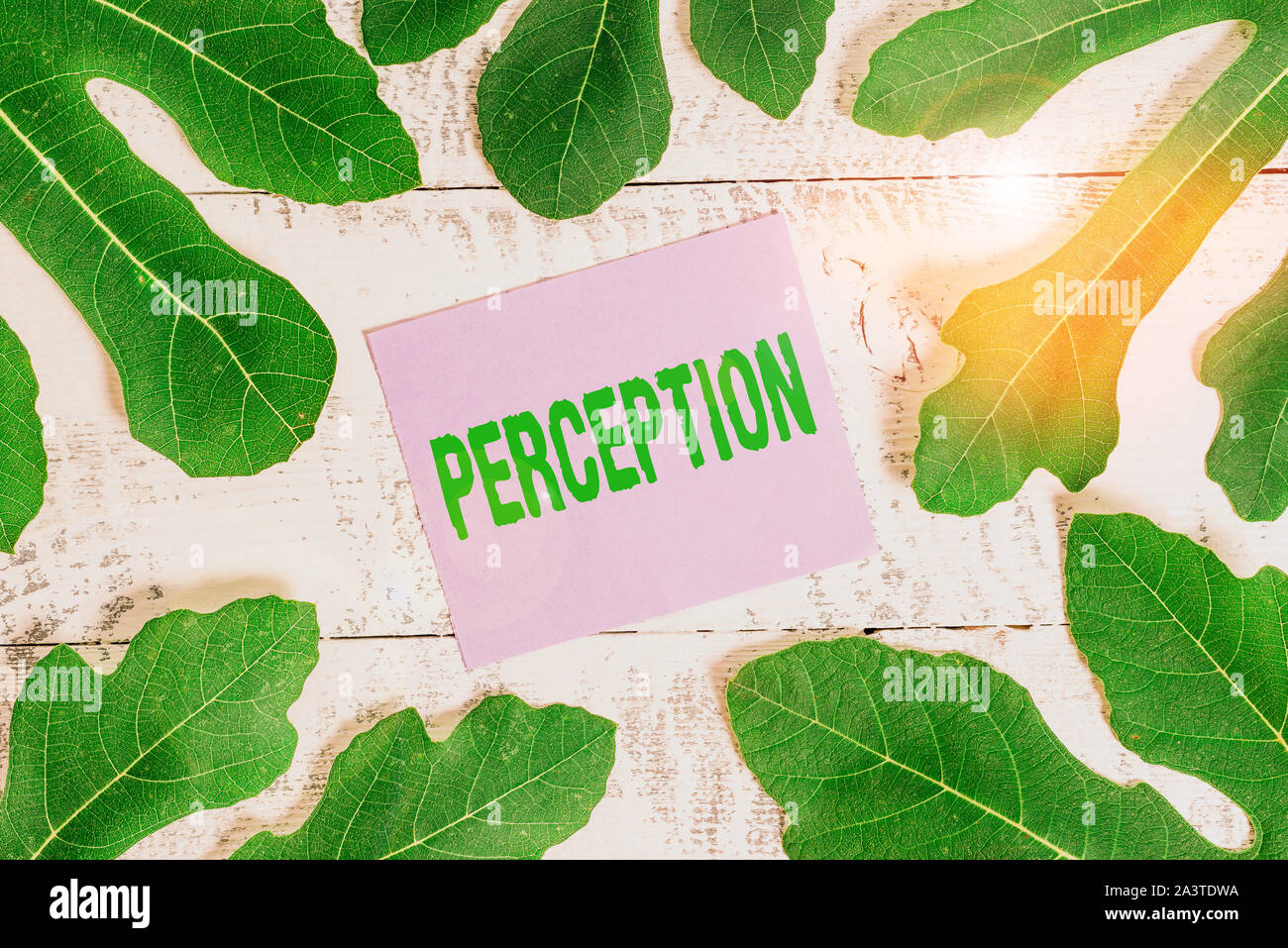 Handwriting text writing Perception. Conceptual photo individuals ...