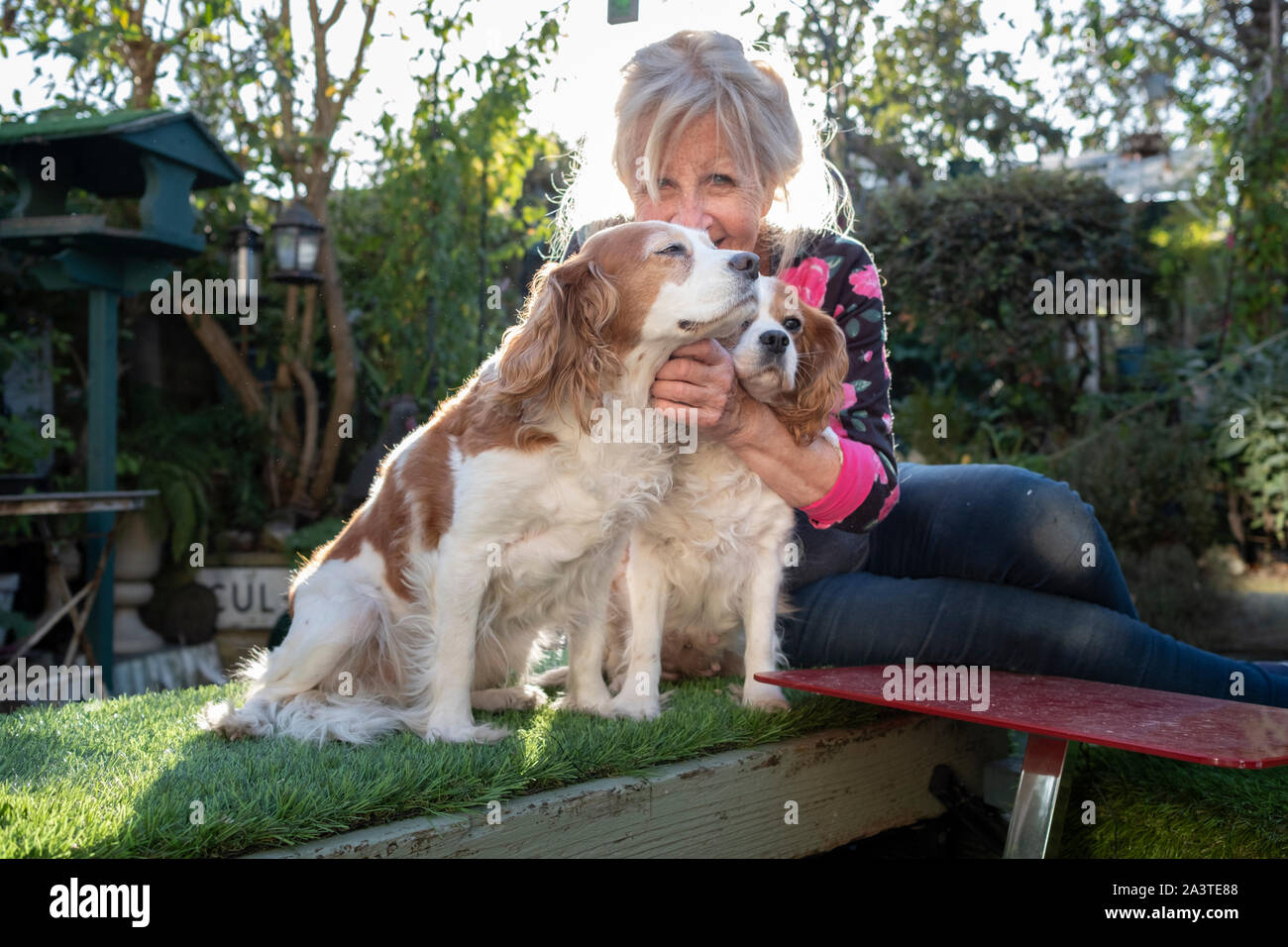 Cuddle dog hi-res stock photography and images - Alamy