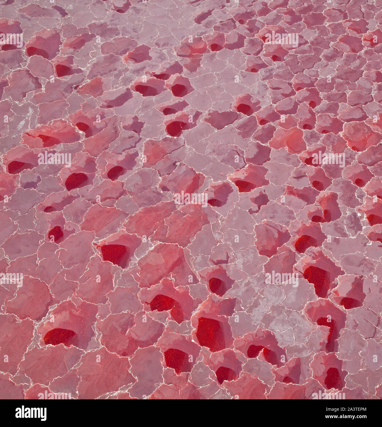 Lago Natron, Valle del Rift, Tanzania, Africa Stock Photo - Alamy