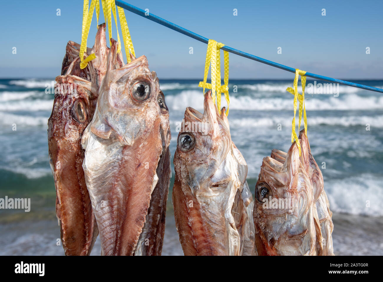 fish drying in the sea wind on the beach Stock Photo - Alamy