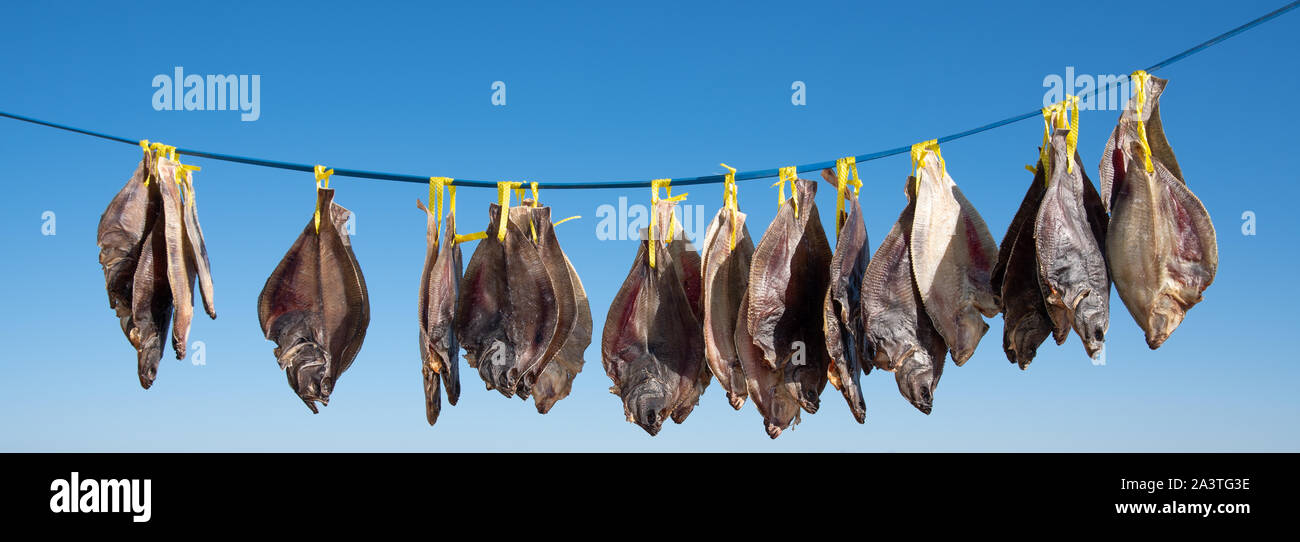 fish drying in the sea wind on the beach Stock Photo - Alamy