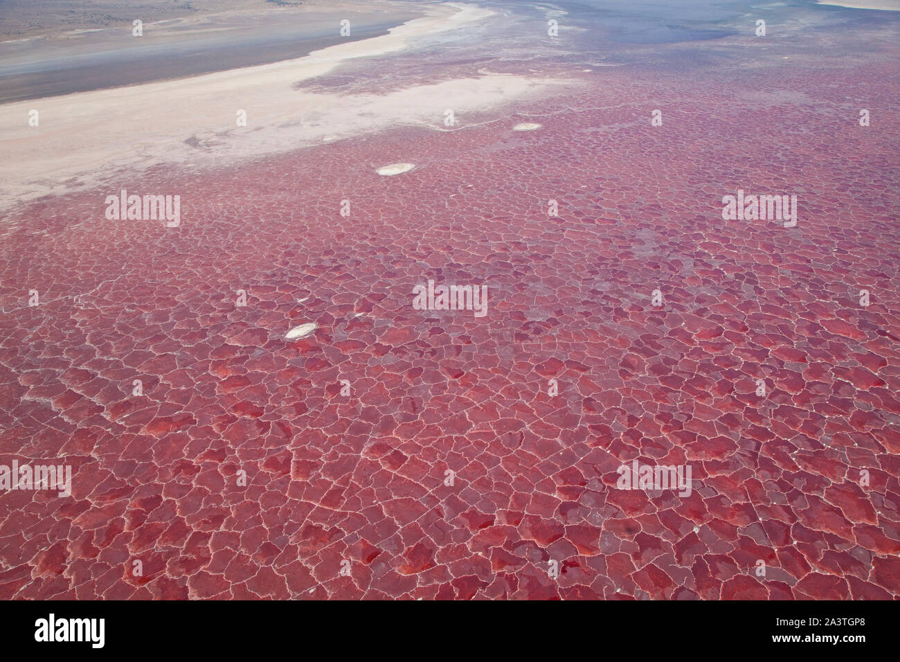 Lago Natron, Valle del Rift, Tanzania, Africa Stock Photo - Alamy